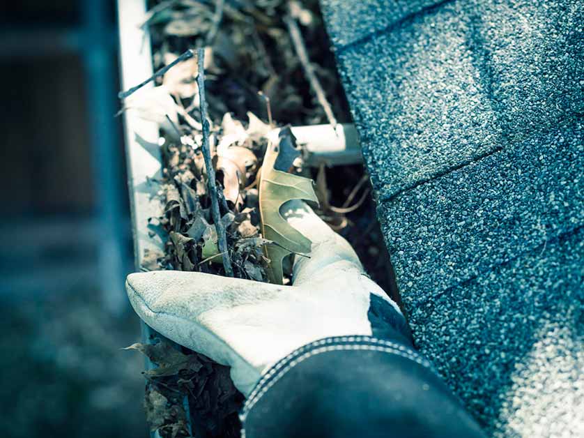 How to Care for Your Gutters in Summer