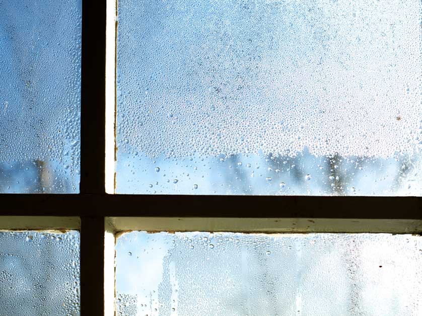 What Can Cause Your Windows to Fog Up?