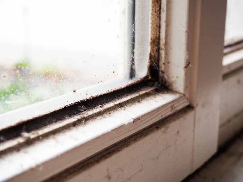 Common Window Problems to Watch Out For